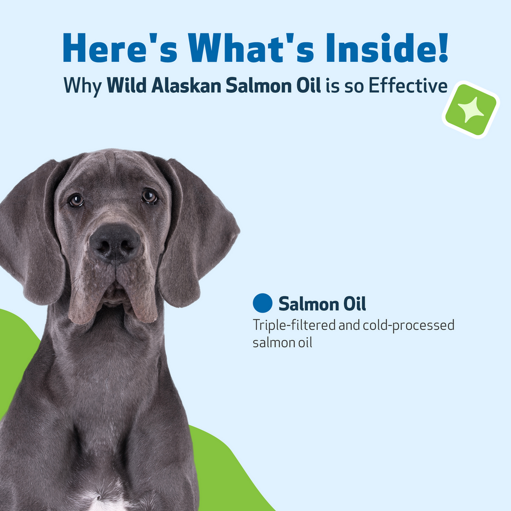 Wild Alaskan Salmon Oil - Omega-3s for Skin Health in Dogs(16 fl oz (4 ...